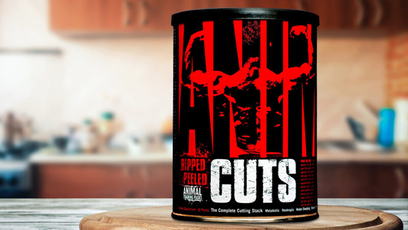 Best L-Carnitine Supplements Available Online